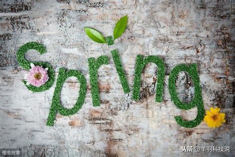 「javaweb」ssm整合權限控制框架shiro，你知道怎麼做嗎？ 每日頭條