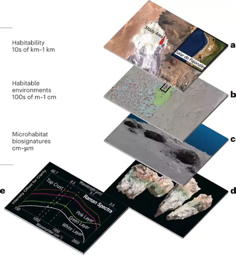 Orbit To Ground Framework To Decode And Predict Biosignature Patterns In Terrestrial Analogues