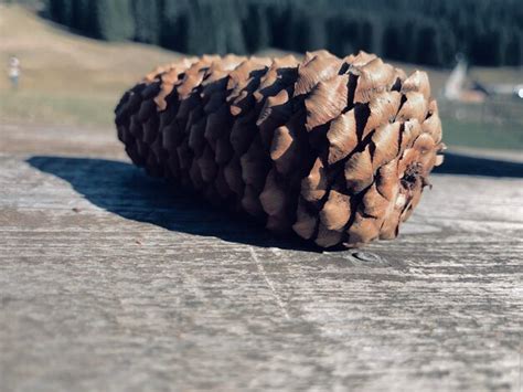 Premium Photo Surface Level