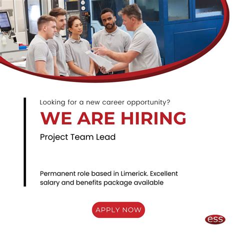 Ess Are Hiring A Project Team Lead In Limerick A Fantastic Opportunity To Lead A Team Of 12