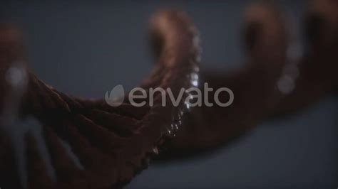 Loopable Structure Of The Dna Double Helix Animation 9 Double Helix