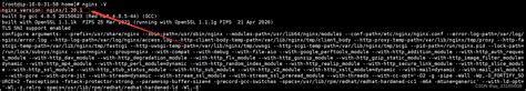 Nginx 安装echo模块 Csdn博客