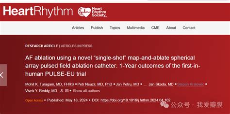 电生理学的未来：回顾pfa的主要趋势 好医术文章 好医术 赋能医生守护生命