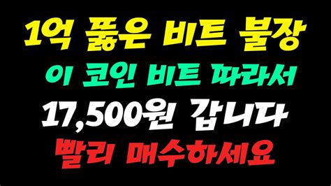 1억 뚫은 비트 불장 이 코인 비트 따라서 17500원 갑니다 빨리 매수하세요 Youtube