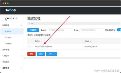 Spring Cloud AlibabaNacos config的使用和高阶用法 spring cloud starter alibaba nacos config使用 CSDN博客