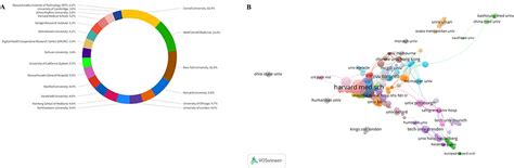 Large Language Models In Healthcare A Bibliometric Analysis And Exami