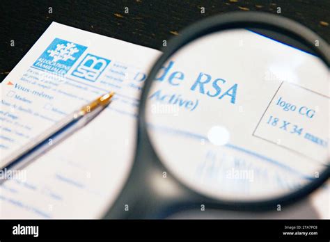 Illustration Of The Rsa Active Solidarity Income An Application Form