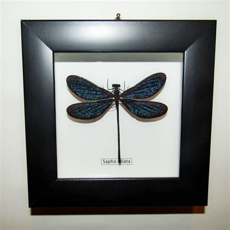 Украшение настенное интерьерное Сафо в рамке купить по доступным ценам в интернет магазине