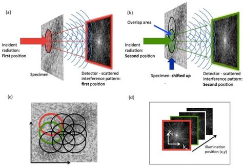 X Ray Ptychography Seeing Chromosome Abnormalities In A New Light