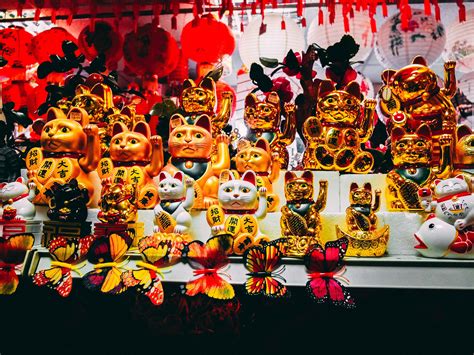Town Lucky Cat Human Representation Abundance Manchester England