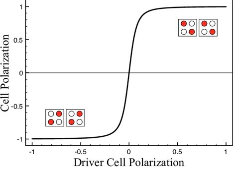 Nonlinear Cell To Cell Response Function For γ E K And K B T E K Download Scientific Diagram