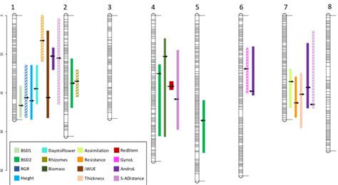 Quantitative Trait Loci For Life History Leaf Function And Floral