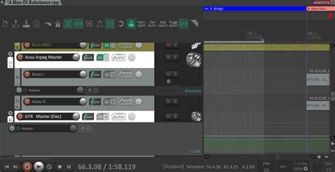 Reaper Interface Tweaks No Label No Producer No Limits