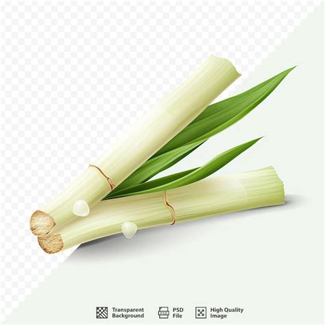 Premium Psd A Picture Of The Stalk Of Celery