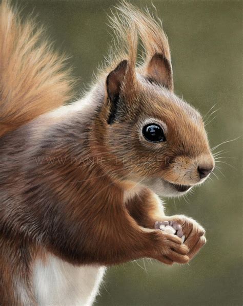 Danielle Fisher Artist Added Danielle Fisher Artist