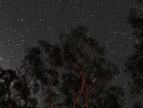The Outdoor Poet Ken Weisner Santa Cruz