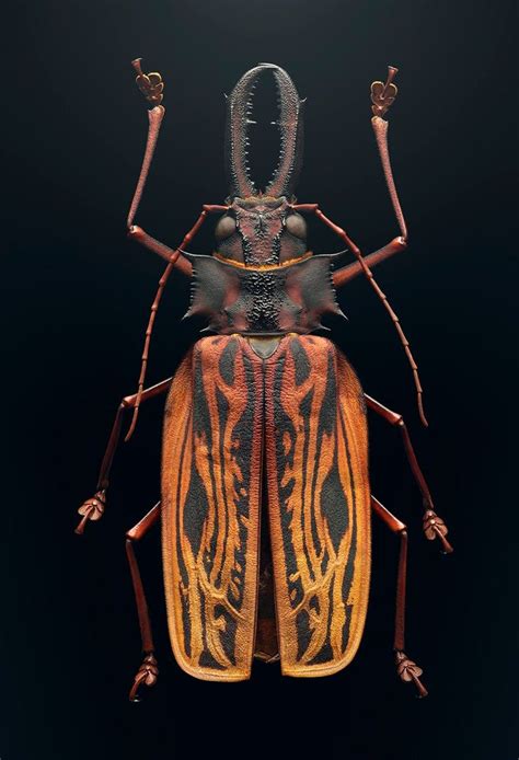 Macro Photography Beauty Of Extinct And Endangered Insects