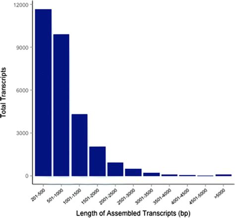 Distribution Of Transcript Lengths The Short Read De Novo Trinity