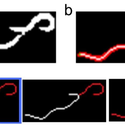 an example of a segmented image the red blue and magenta blobs