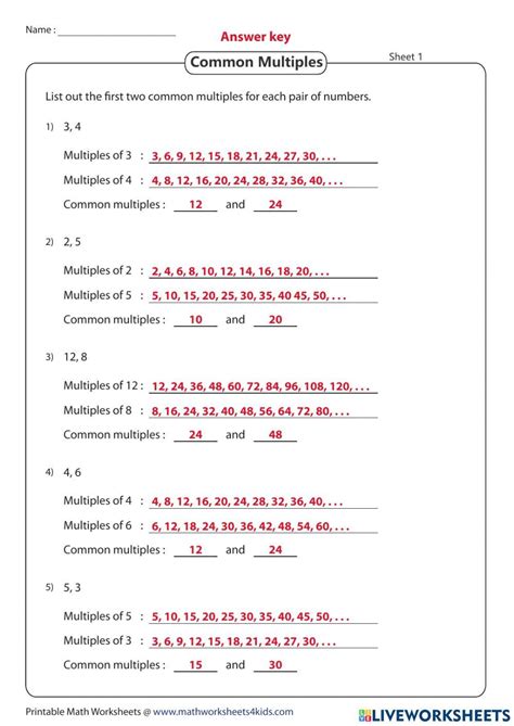 4847202 Common Multiples Amarah Chughtai