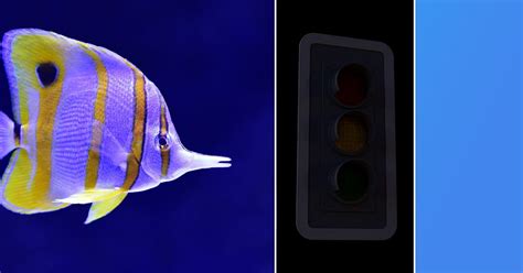 List Ml Best Practices Curated By Jit Sarkar Medium