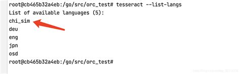 golang 通过docker 搭建 ocr识别 gosseract csdn博客