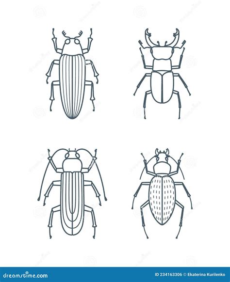 The Outline Of The Beetle In Cartoon Style Sketch Vector Isolated