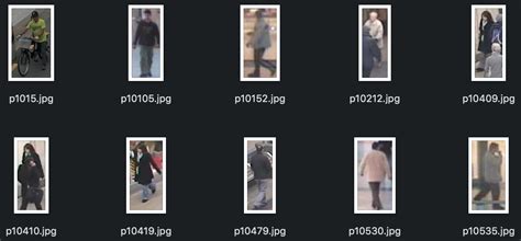 MareArts Computer Vision Study Pedestrian Images Data