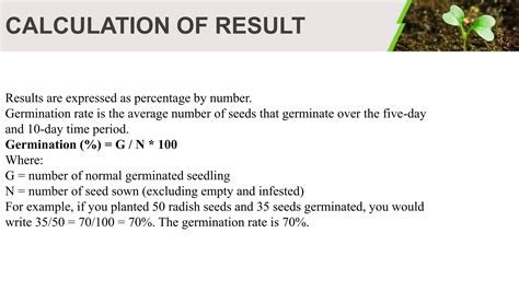 Testing For Seed Germination Pptx