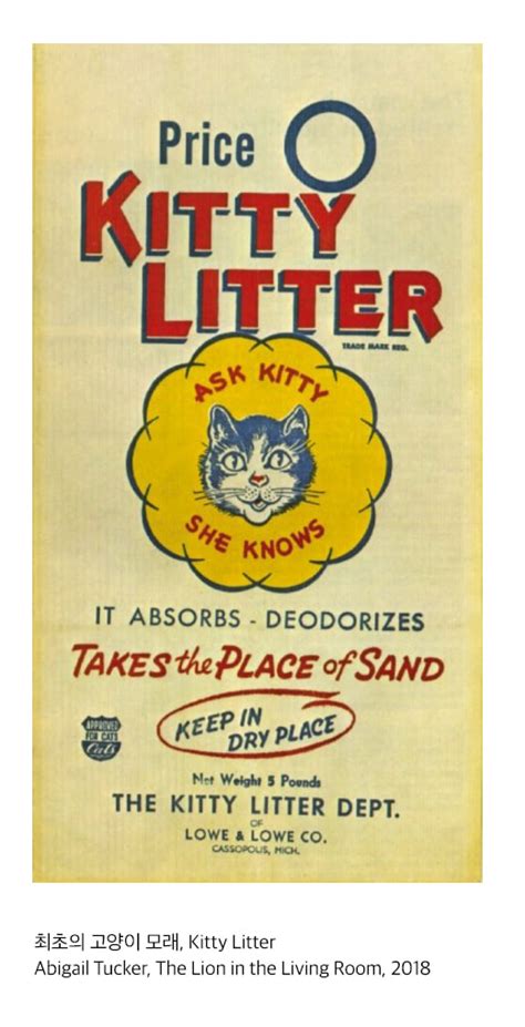 반려생활 이달의 대화 고양이는 어떻게 사람과 함께 하게 되었을까