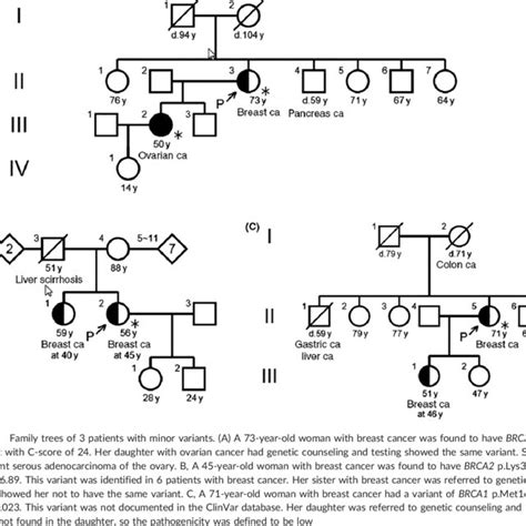Pdf Combined Annotation Dependent Depletion Cadd Score For Brca1 2