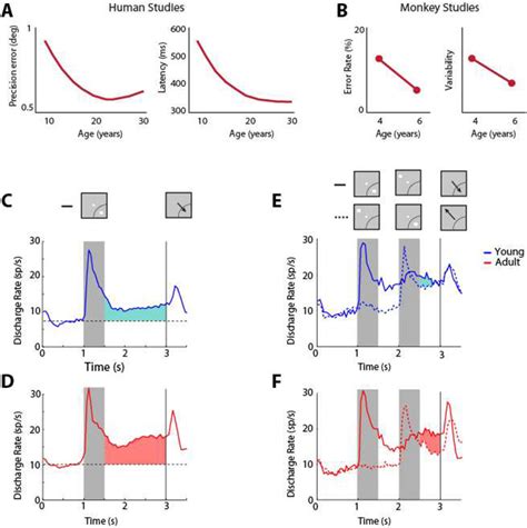 Working Memory From Neural Activity To The Sentient Mind Pmc