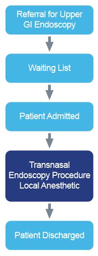 Transnasal Endoscopy Improves Patient Outcomes And Productivity Nhs