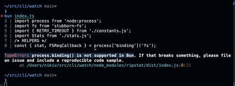typeerror process binding is not supported in bun · issue 3546
