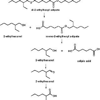 Structures Of DEHP And DEHA 1 Download Scientific Diagram