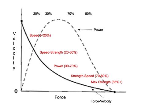 Categories Of Weight Training Part 11