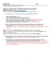 Fossil Lab Docx Fossils Lab Name Reading Pages Are Referenced From The Online Fossil