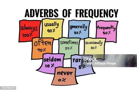 빈도의 부사에 대한 다채로운 어휘 카드의 손으로 그린 그림 손으로 쓴 글꼴입니다 교육용 일러스트레이션 개념 영어 문법 교육 교육