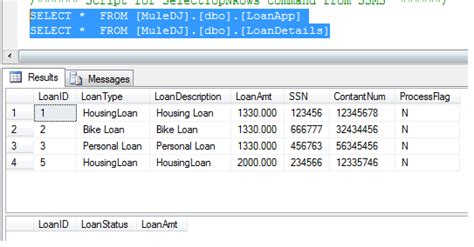 Mule ESB Tutorials Batch Processing In Mulesoft ETL