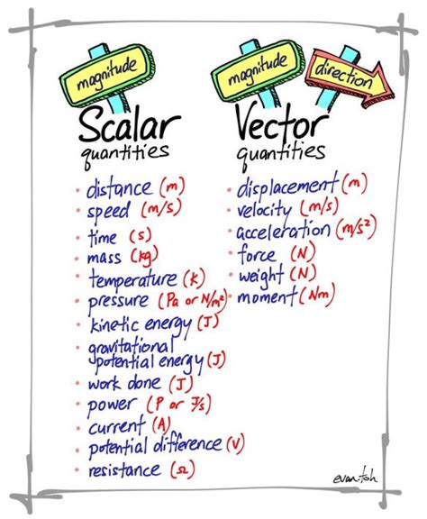 scalar and vector quantities physics notes physics lessons physics