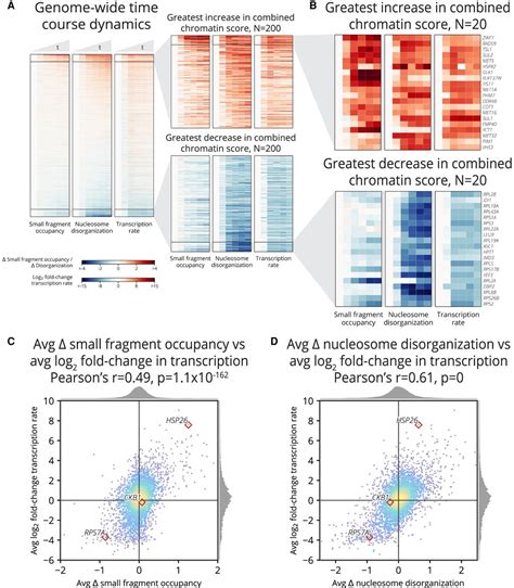 Linking The Dynamics Of Chromatin Occupancy And Transcription With Predictive Models