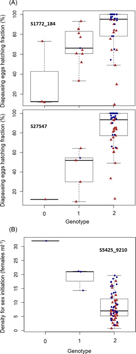 Genotype Phenotype Association Patterns For Two Life History Traits Of