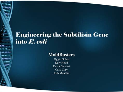 Ppt Engineering The Subtilisin Gene Into E Coli Powerpoint