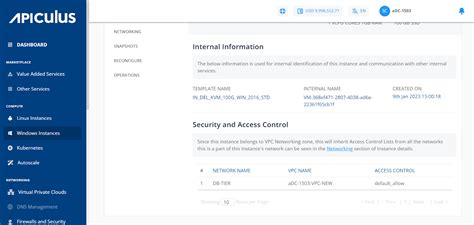 viewing details of windows instances apiculus technical documentation