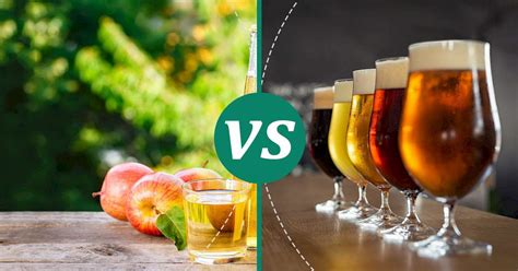 Beer Vs Cider Nutrition Calories Compare