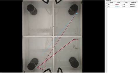 Is It Possible To Constrain Tracking By Max Velocity Talmolab Sleap Discussion GitHub