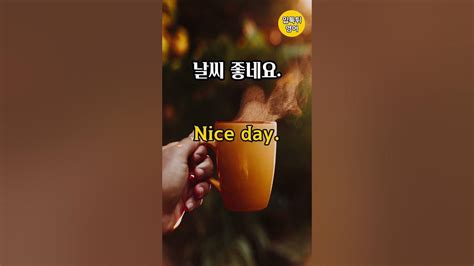 편하게 틀어두세요ㅣ기초영어회화ㅣ자면서 듣는 영어ㅣ반복 흘려듣기ㅣ생활 필수영어회화 L 미국인이 매일쓰는 생활영어ㅣ영어반복듣기ㅣ