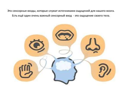 Сенсорная интеграция - презентация онлайн
