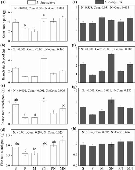 Starch Pools Of Nonphotosynthetic Organs Of Larix Kaempferi And L