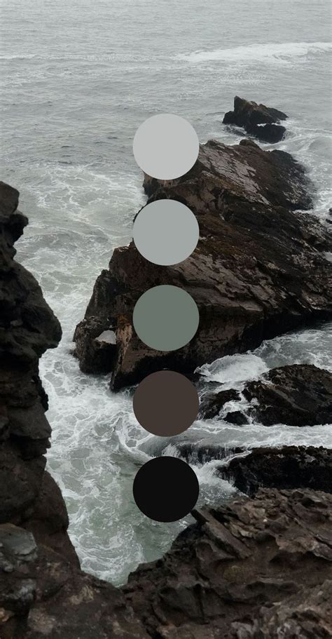 Color Palette Inspiration